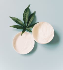 Treehouse Cannabis - Dispensary & Weed Delivery for New York