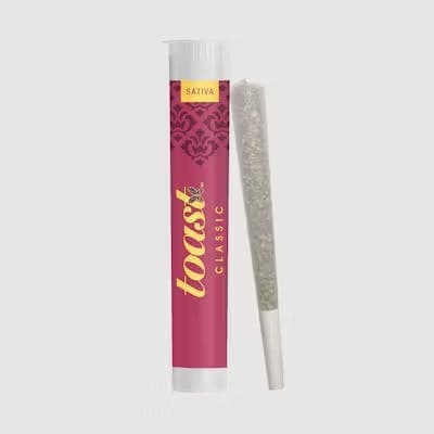Candy Apple Fritter Pre-Roll • 1g - Toast | Treehouse Cannabis