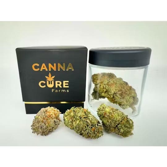 Super Lemon Haze • 3.5g - CANNA-CURE | Treehouse Cannabis