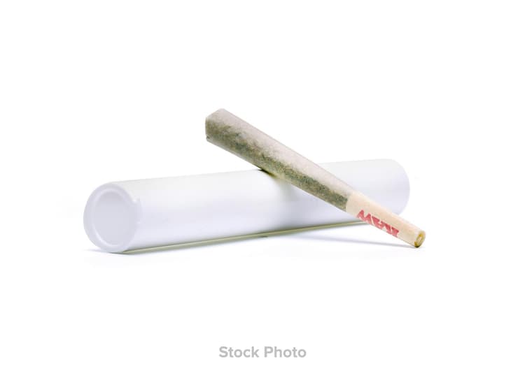 Lemon Candy Runtz | Packs X Runtz | Hash Infused Blunt | 2.25g by PACKS ...