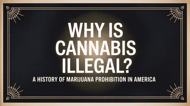 Why Is Cannabis Illegal A History Of Marijuana Prohibition In America